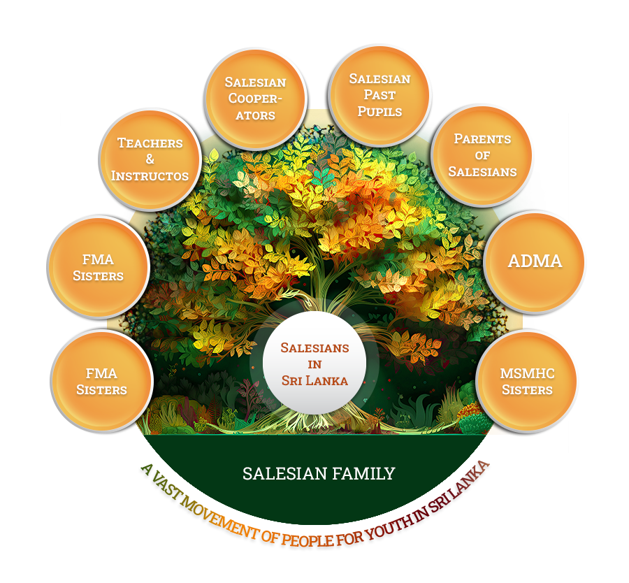 Our-Salesian-Family-New-Tree – Salesians of Don Bosco, Sri Lanka